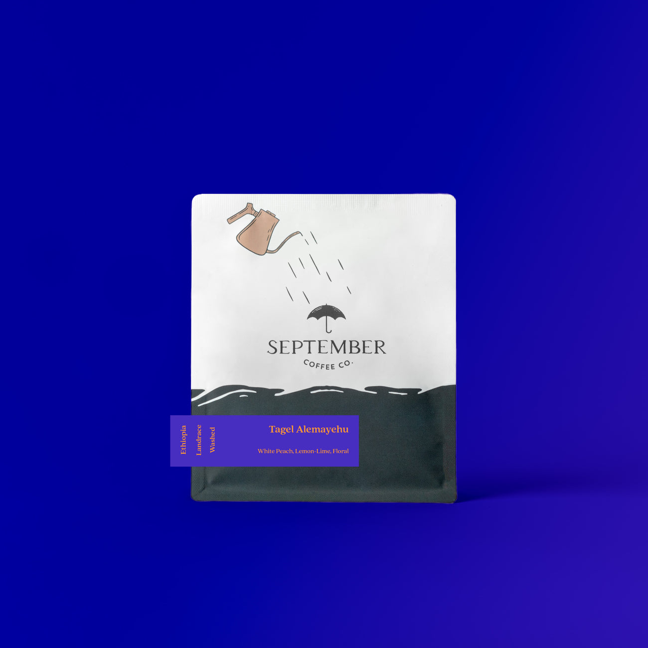 Tagel Alemayehu - Ethiopia - September Coffee